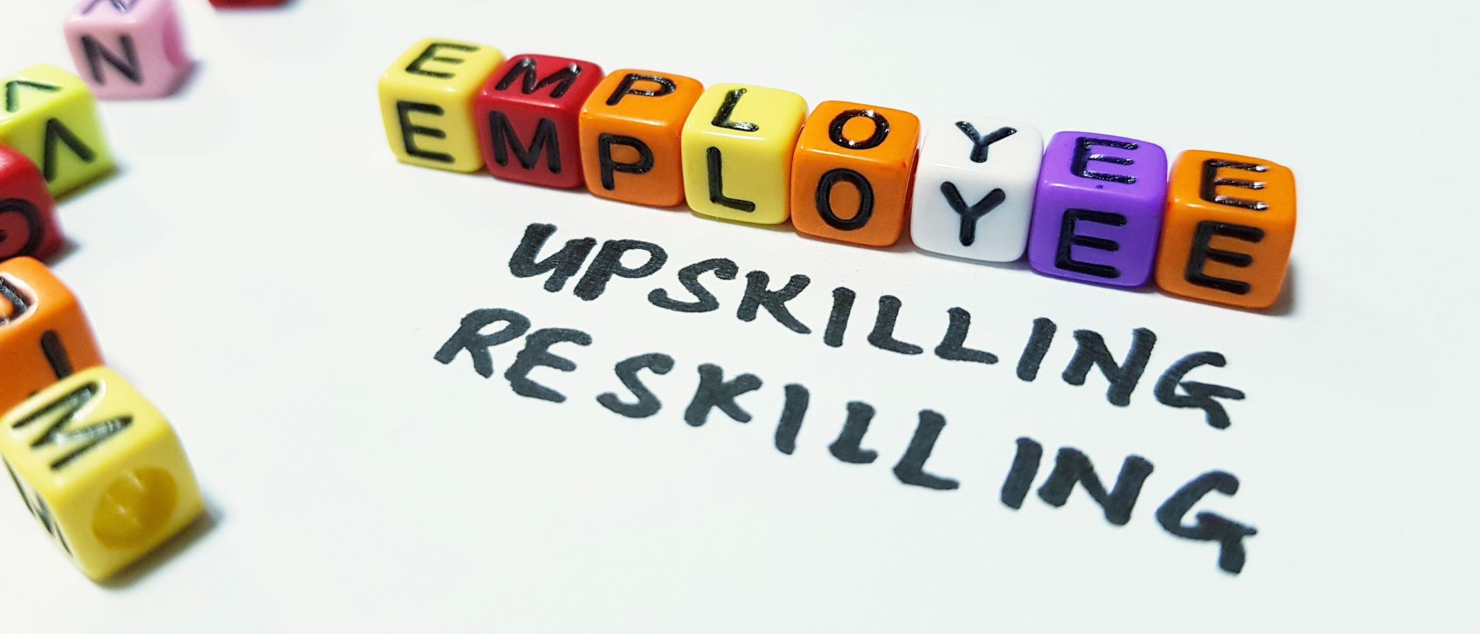 Upskill and Reskill with Career-Focused Diplomas: Stay Job-Ready